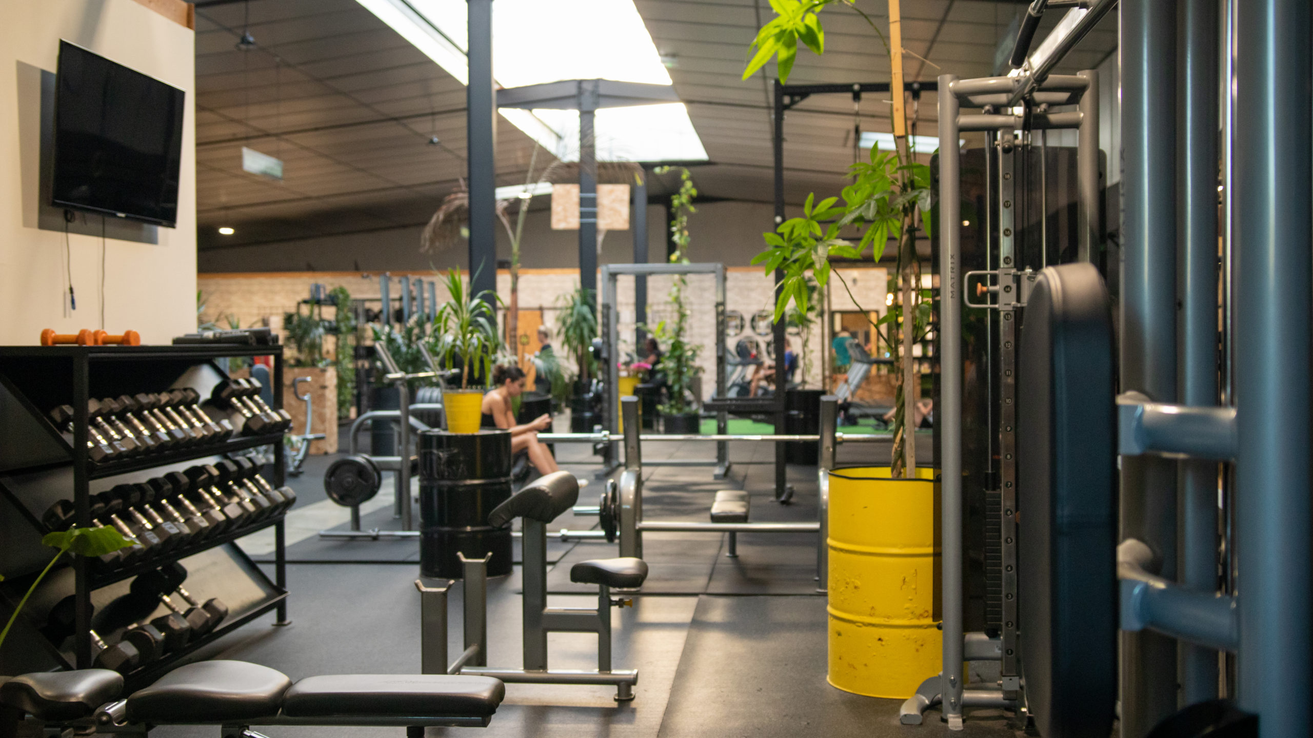 Musculation | GYMLAB | Votre salle de sport à Mérignac